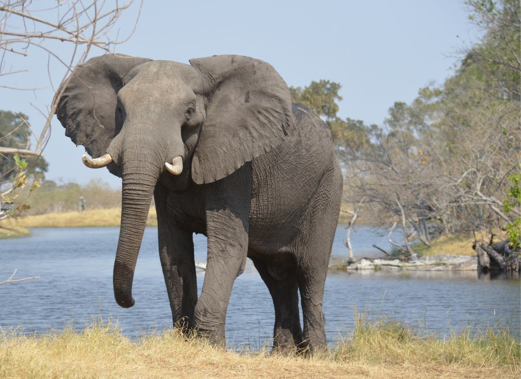 230307Mastodon02 | 名古屋のホームページ制作なら WWG ｜ 企業のWeb制作会社